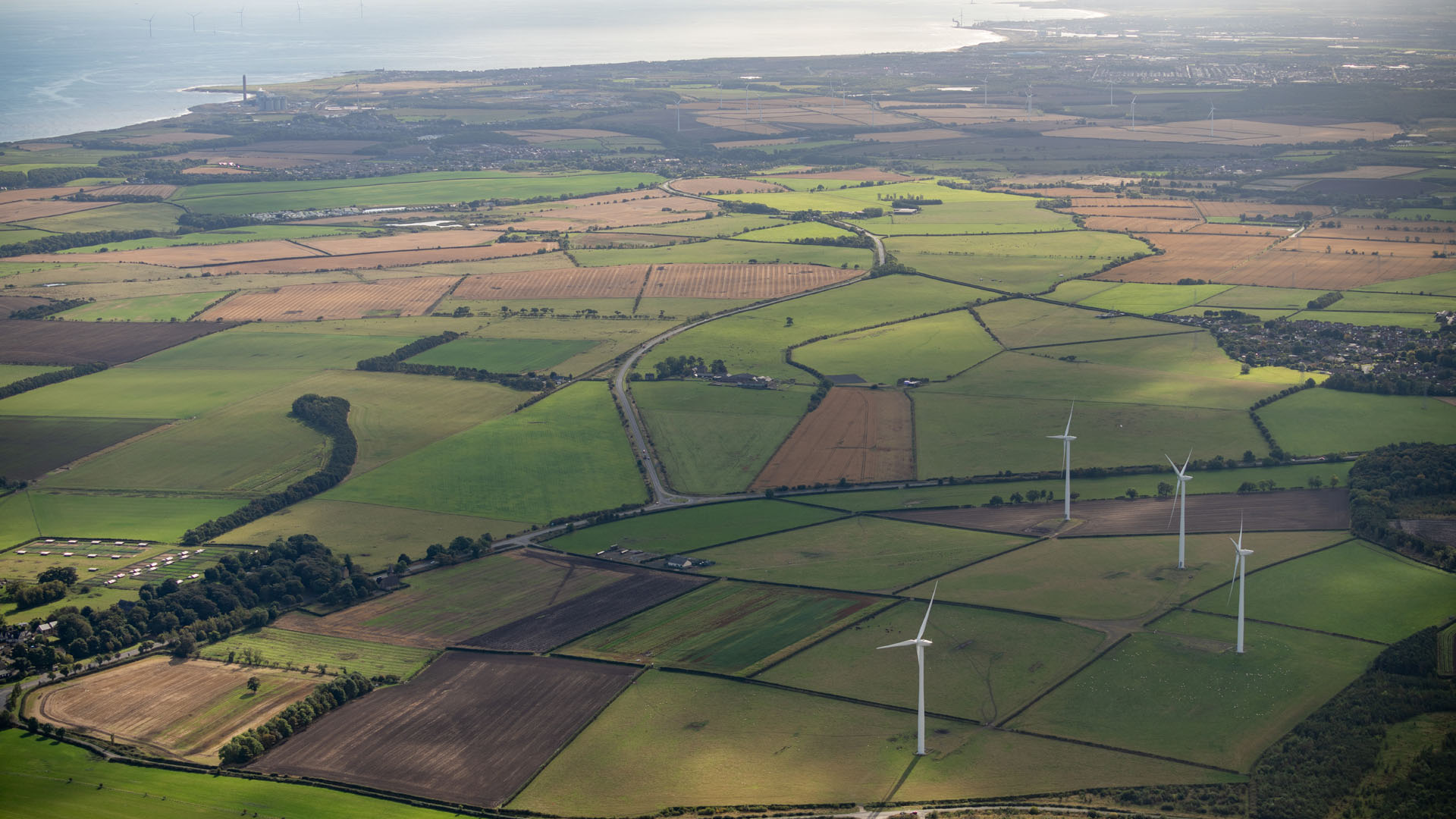 Harworth secures England Woodland Creation Offer grant for new woodland ...